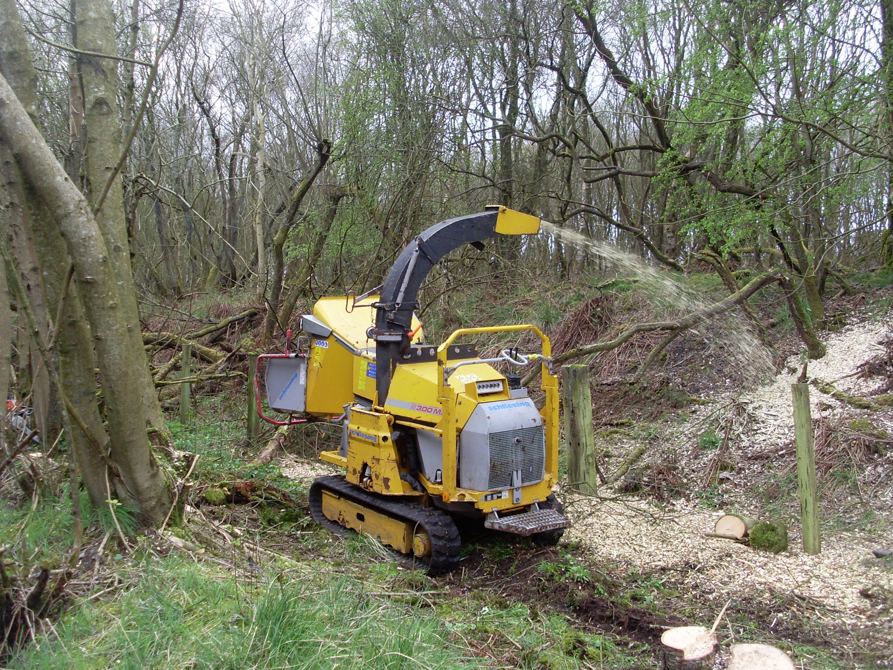 Our Work | LJX Tree Surgeons